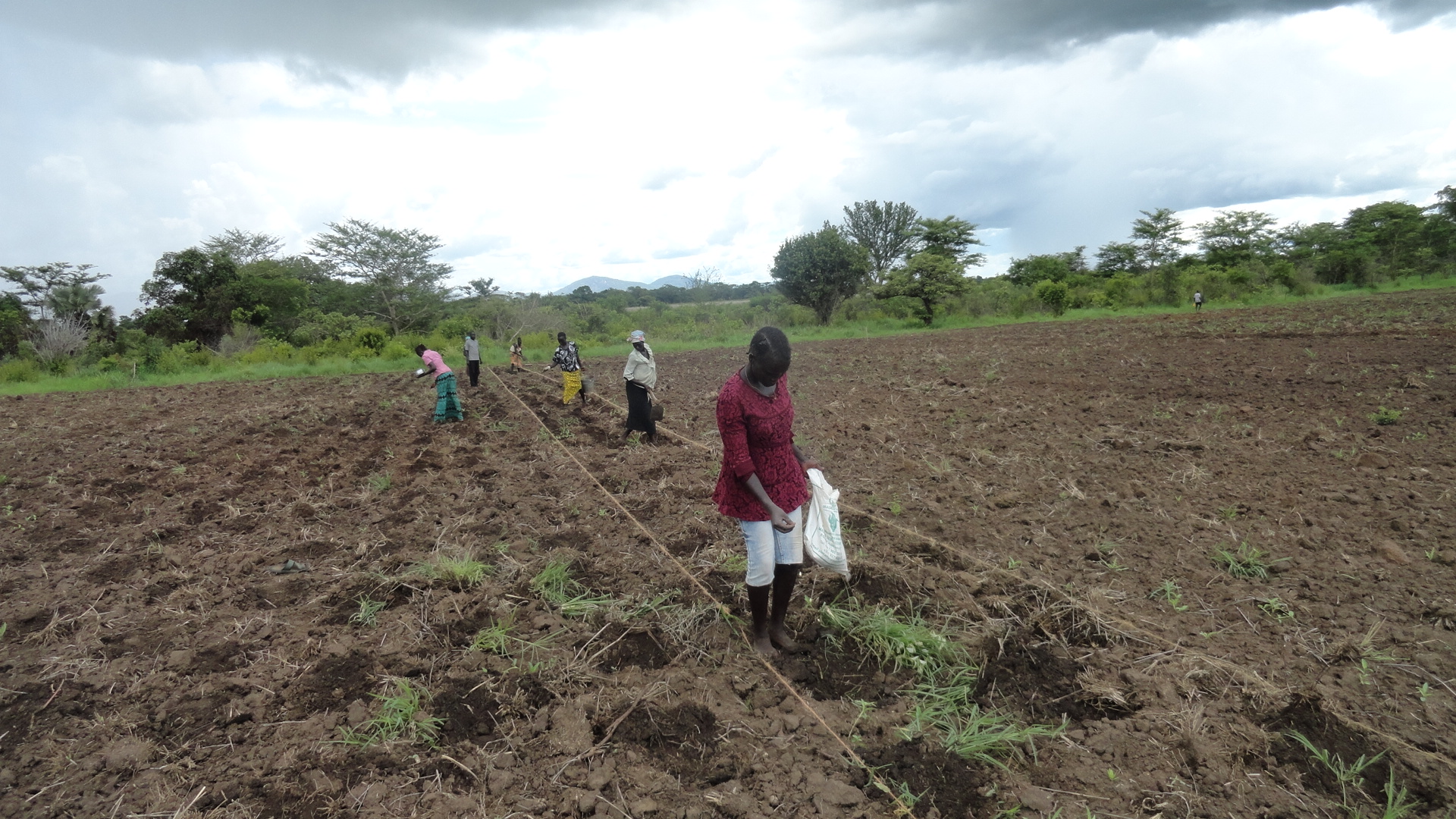 Our Partners - Lift Up the Vulnerable