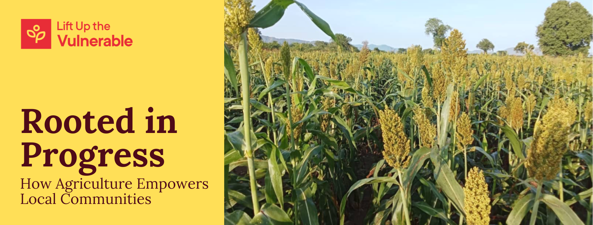 Rooted in Progress: How Agriculture Empowers Local Communities - Lift ...